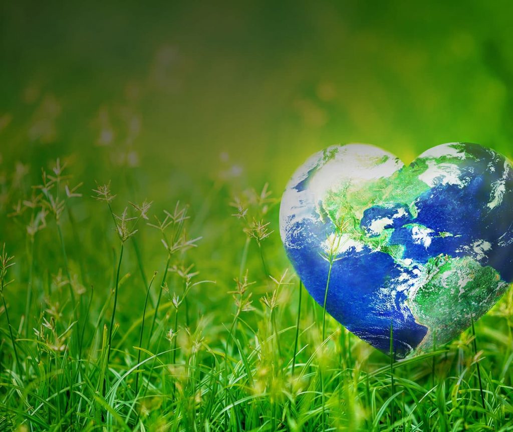 Our new environmental commitment - Tonic Analytics